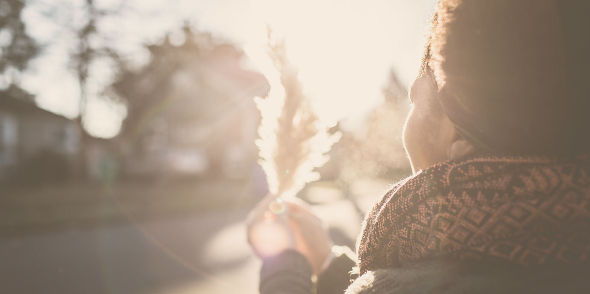 Flora Bowley: artist, author, and gentle guide - Flora Bowley